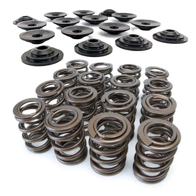 Skunk2/ Evolution B-Series VTEC Valvetrain Package